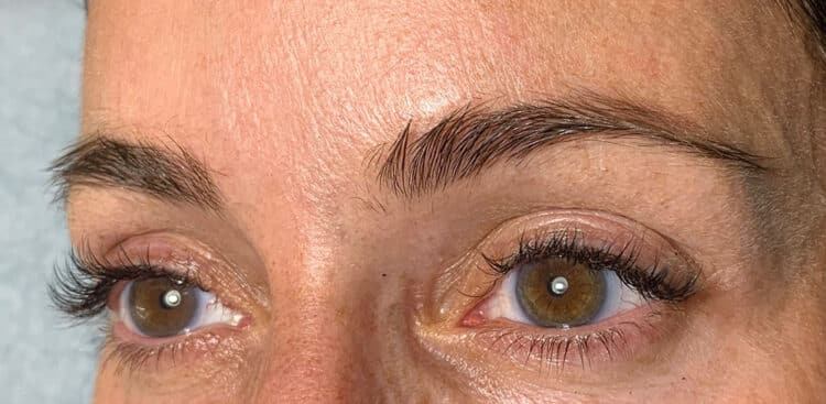 Eyebrows Extension Services NYC, New York | EnviousLamination & Tinting